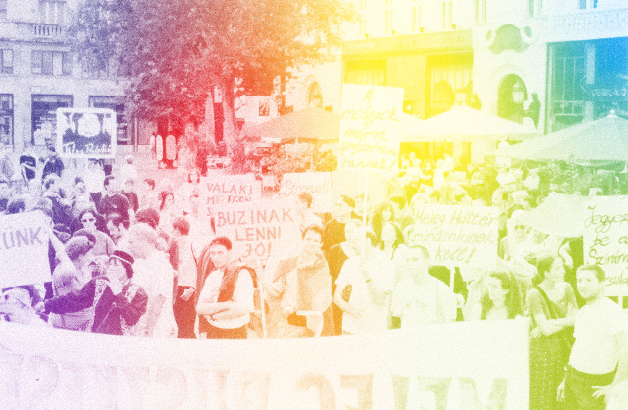 Endorsing Rights, Increasing Visibility: Gay and Lesbian Activism after ...